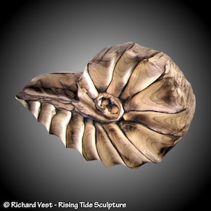 Nautilus Shell Wall Sculpture - Etsy