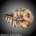 Nautilus Shell Wall Sculpture - Etsy