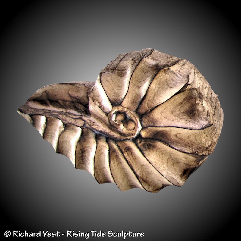 Sea Shell Sculpture - Etsy