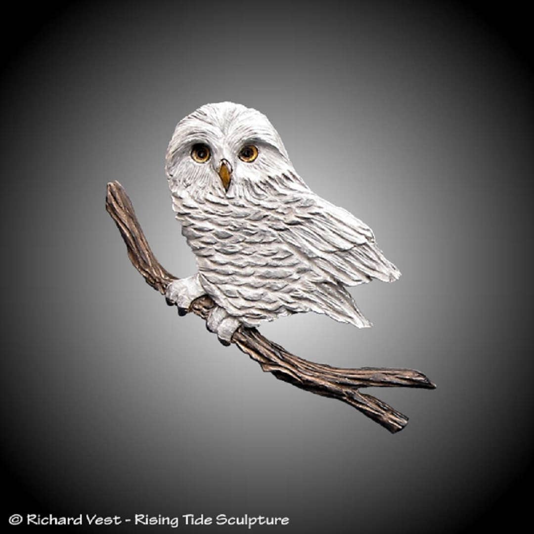 Small Boreal Owl Wall Carving Hand Carved in Alder Wood Gray and Yellow ...