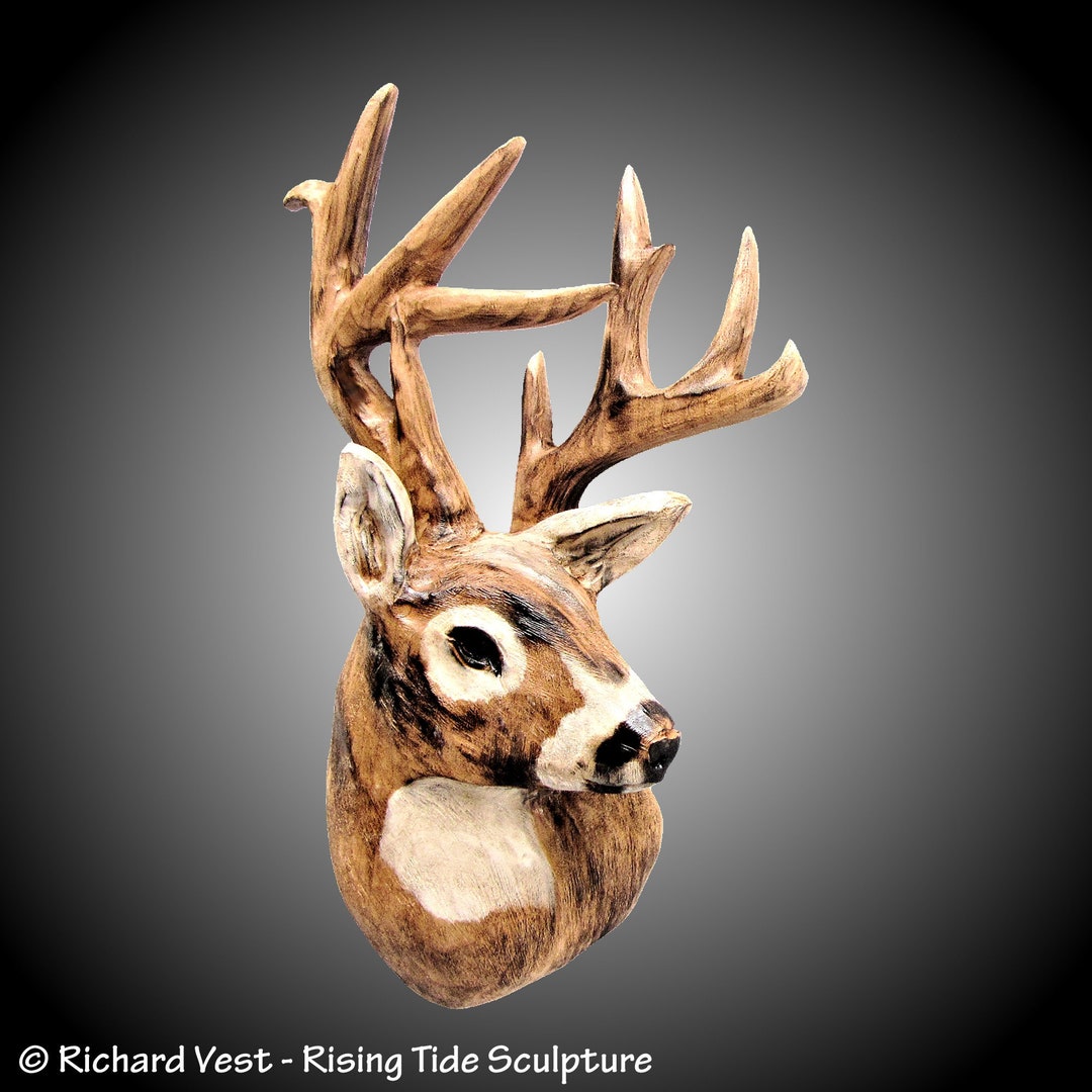 Black Tailed Deer Bust Hand Carved Made to Order Alder Wood Tung Oil ...
