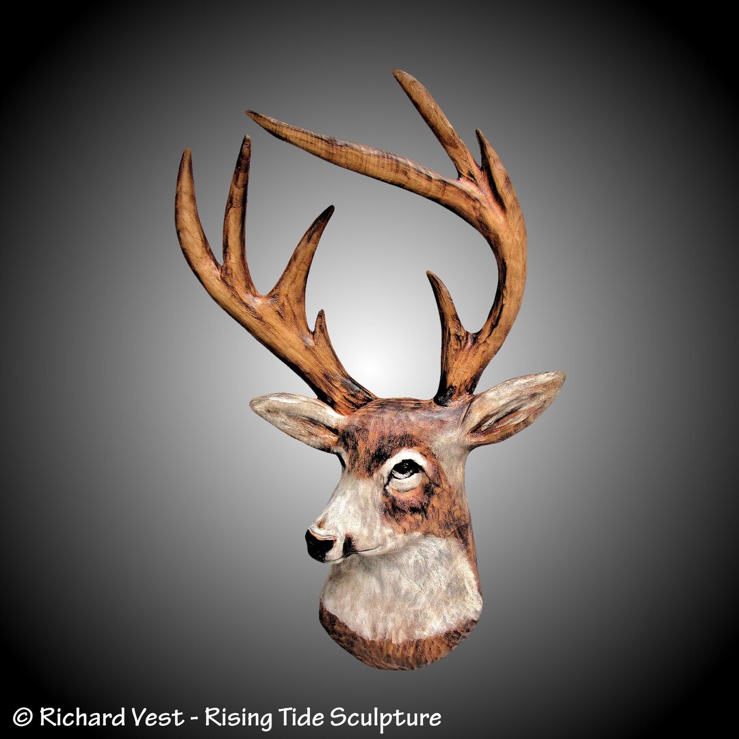 Black Tailed Deer Bust Facing Left Hand Carved Alder Wood White ...