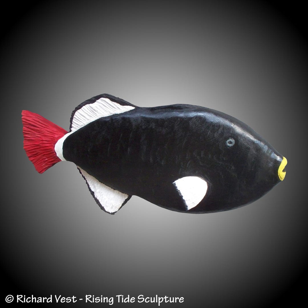 Hand Carved Alder Wood Pink Tailed Trigger Fish Wall Sculpture - Etsy