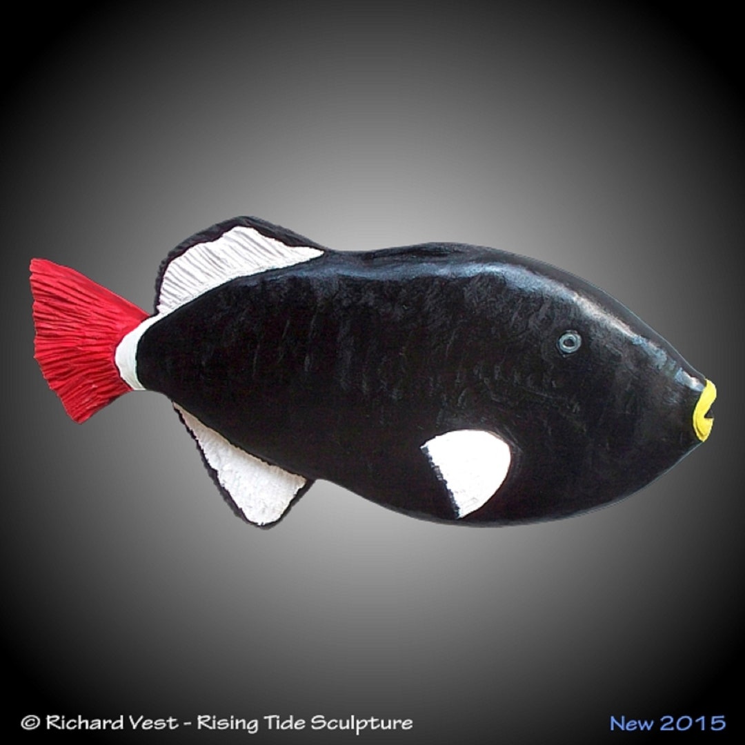 The Pink Tailed Trigger Fish Wall Carving in Alder Wood Hand Carved ...