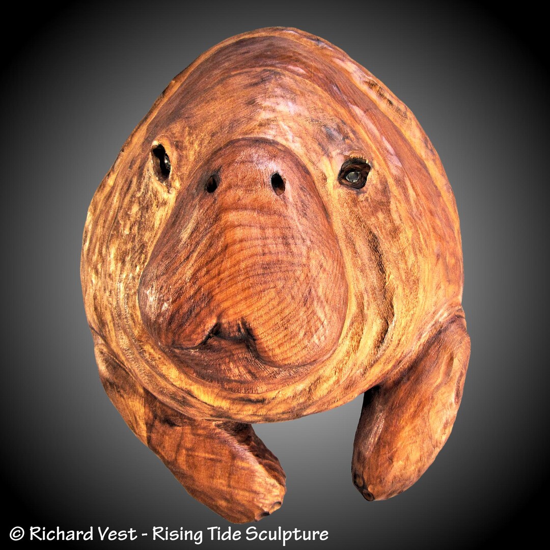 Manatee Bust Wall Sculpture Hand Carved Made to Order Alder Wood Tung ...