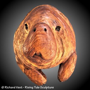 Manatee Bust Wall Sculpture Hand Carved Made to Order Alder Wood Tung ...
