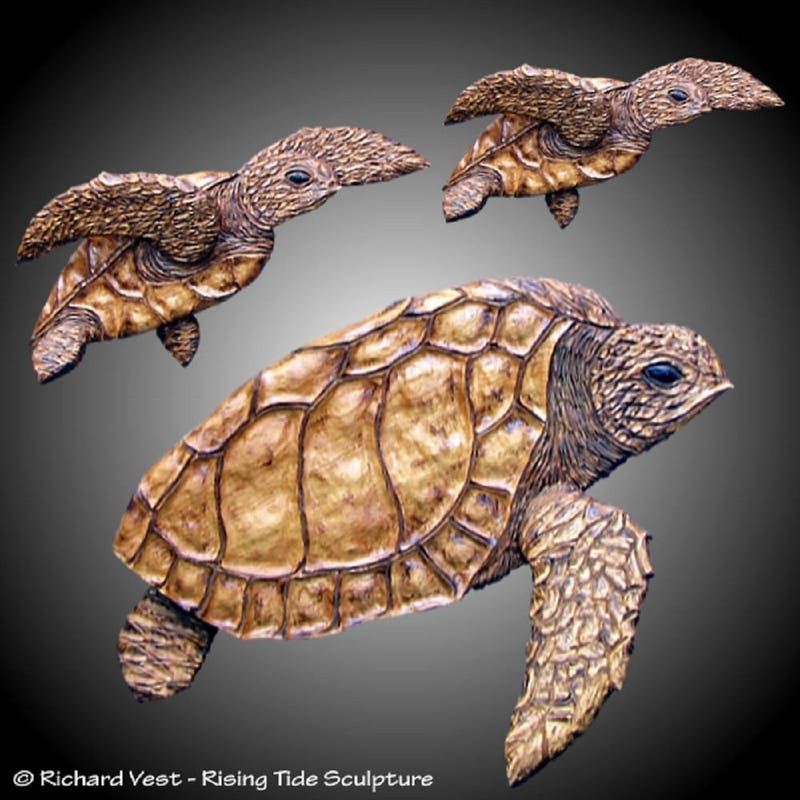 Sea Turtle Decor - Etsy