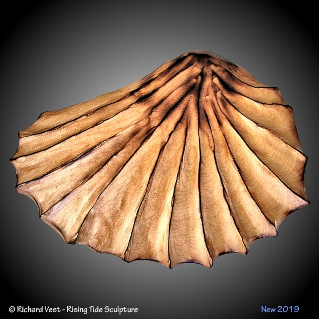 Scallop Shell Wall Carving - Etsy