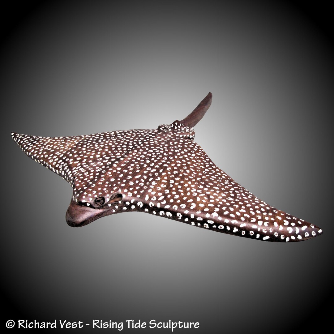 Spotted Eagle Ray Wall Sculpture Black Walnut Made to Order White ...