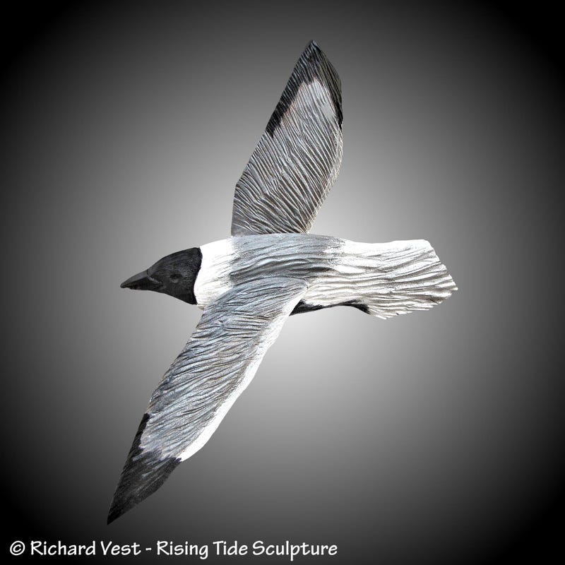 Sea Gulls - Etsy