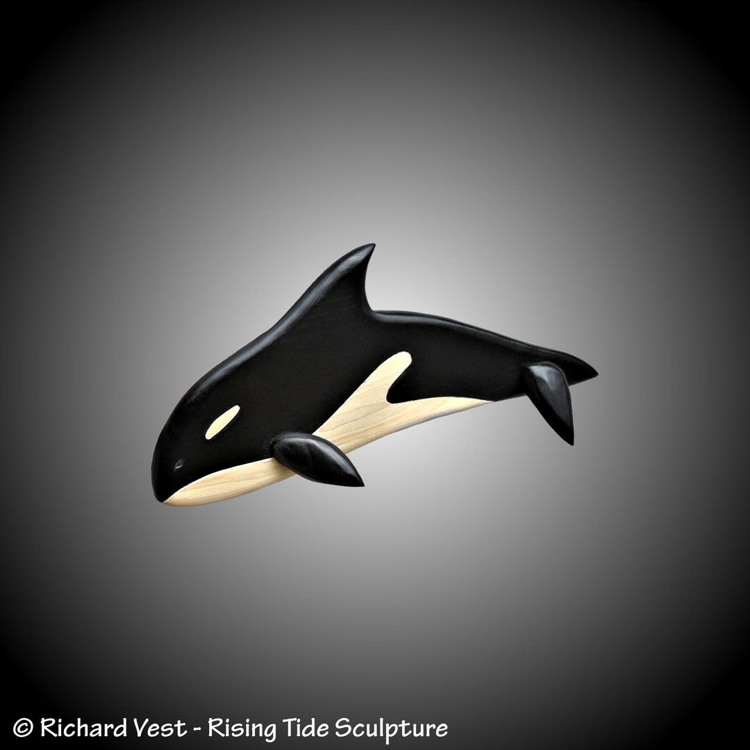 Orca Killer Whale Wall Sculpture Alder and Maple Woods Black Staining ...