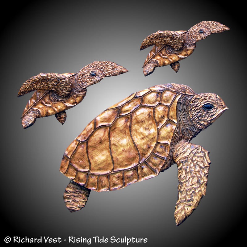 Sea Turtle Decor - Etsy