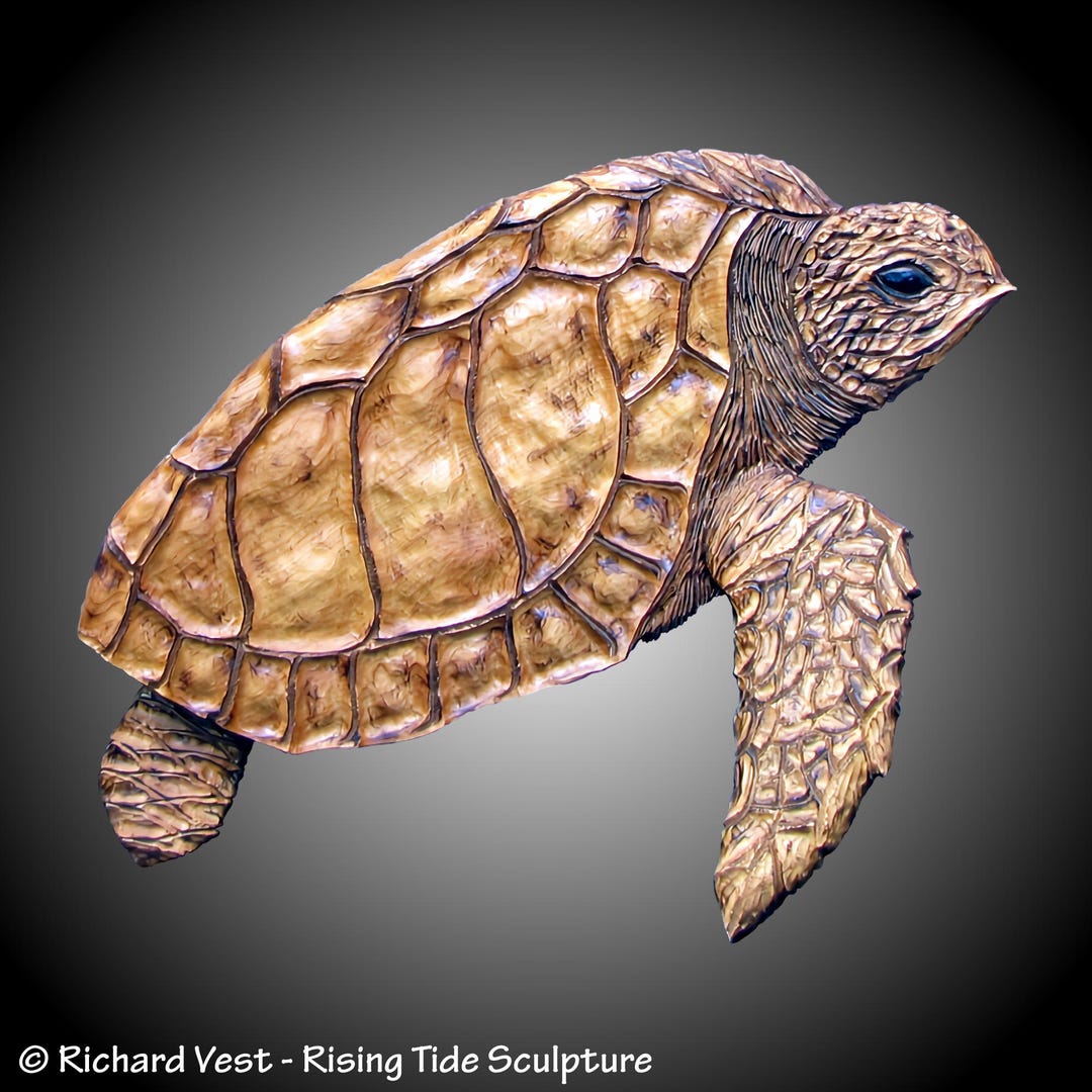 Hand Carved Sea Turtle Wall Sculpture: Alder Wood Decor (25x44) - Etsy