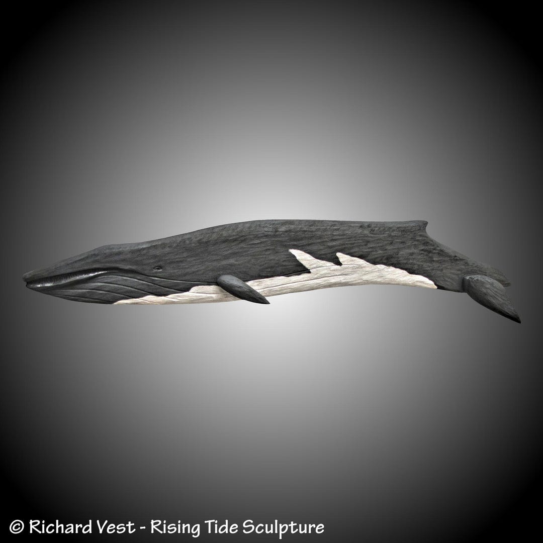 Finback Whale Wall Sculpture Hand Carved Alder - Etsy