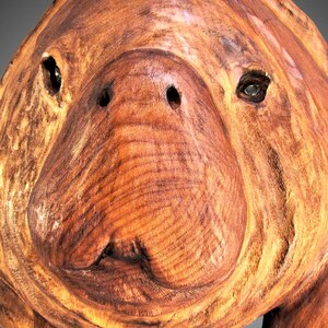 Manatee Bust Wall Sculpture Hand Carved Made to Order Alder Wood Tung ...