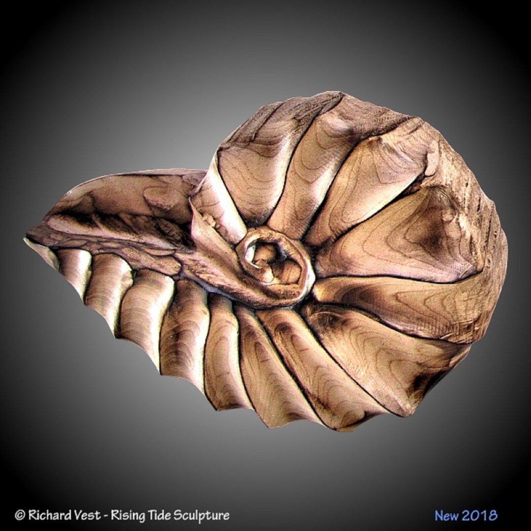 Nautilus Shell Wall Sculpture - Etsy