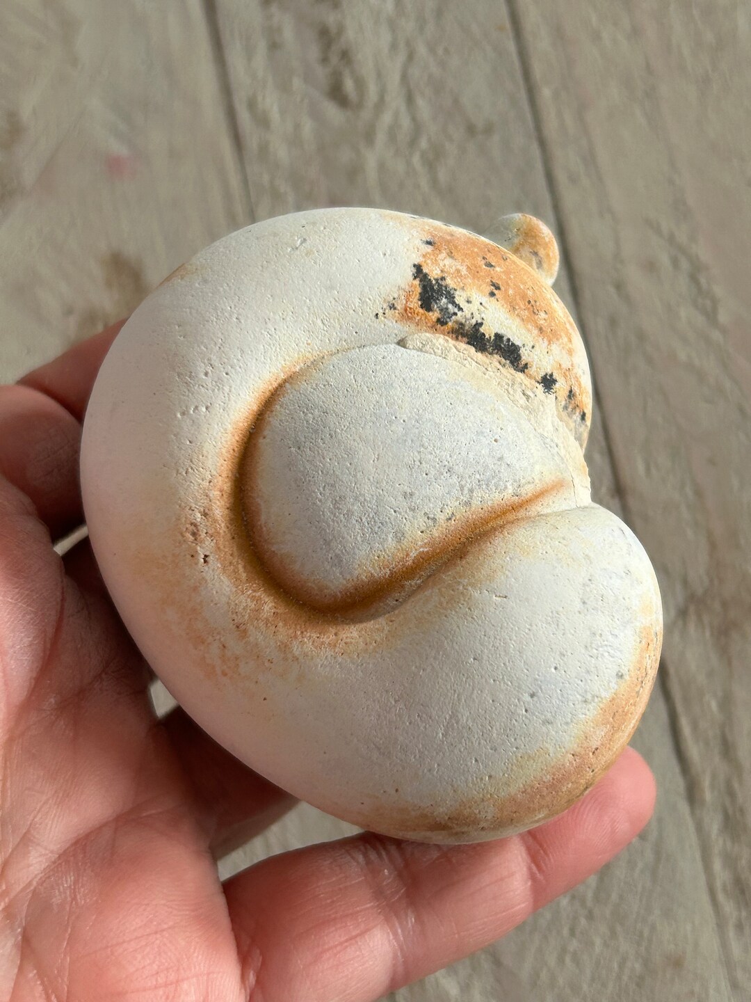 Fairy Stone Concretion Rare Shape Concretion Stone Ooak Unique Stone ...