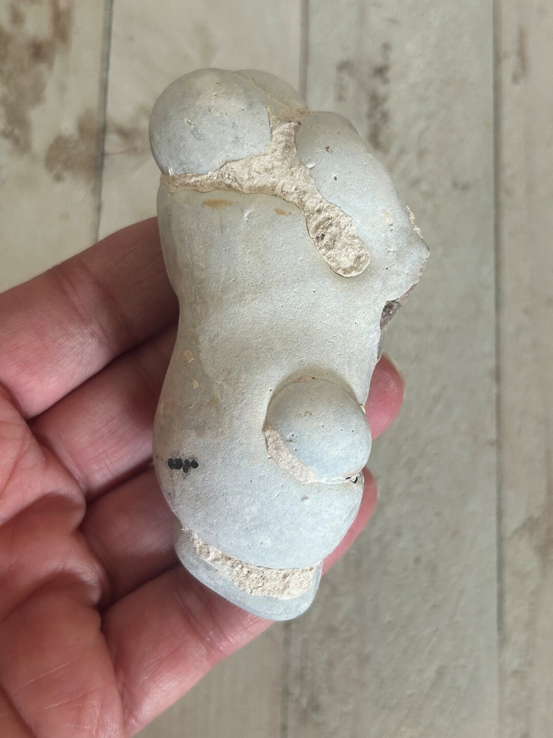 Fairy Stone Concretion Rare Shape Concretion Stone Ooak Unique Stone ...