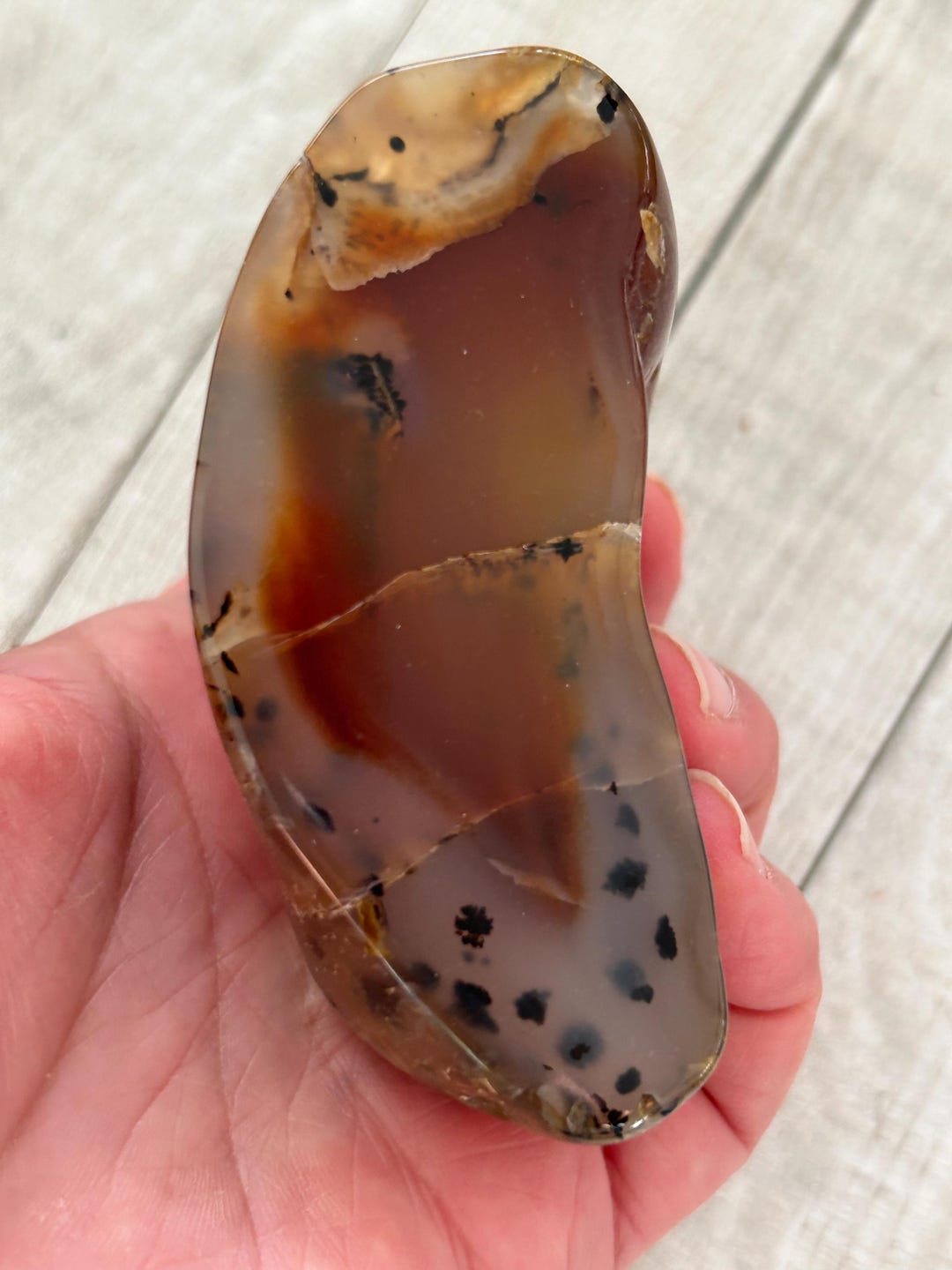 Large Montana Dendritic Opal Agate Dendritic Agate Fern Agate Dendrite ...