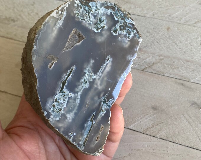 Unique Agatized Wood Limb Cast Petrified Wood Agatized Tree Branch ...