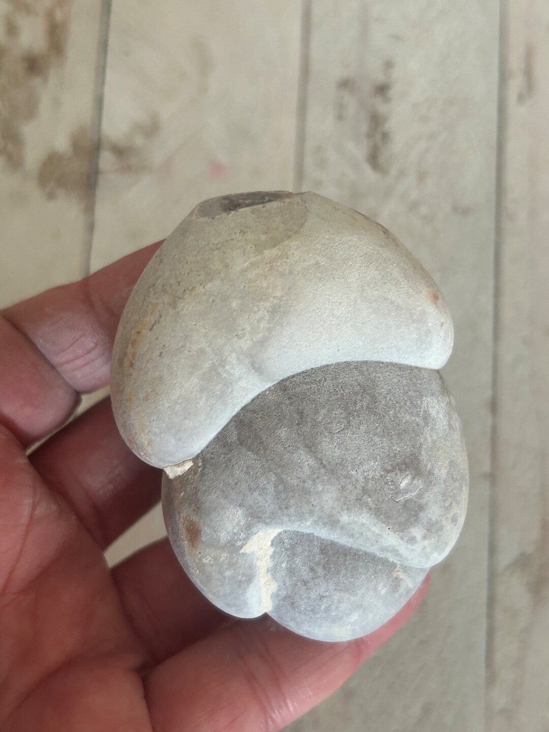 Fairy Stone Concretion Rare Shape Concretion Stone Ooak Unique Stone ...