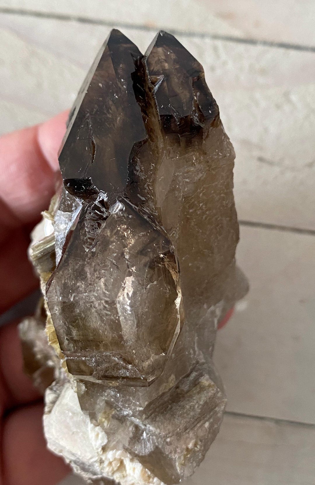 Smoky Jacare Alligator Quartz With Muscovite Cluster Box 1* - Etsy