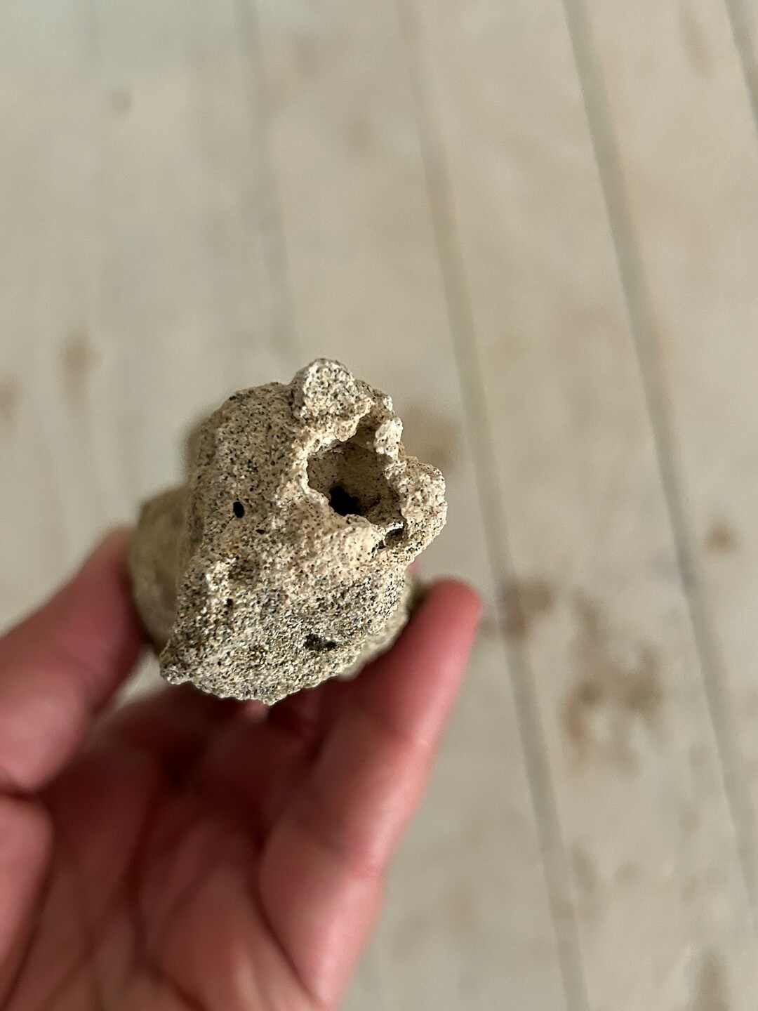 Large Fulgurite Specimen With Shells Large Fulgurite Lightning Stone ...