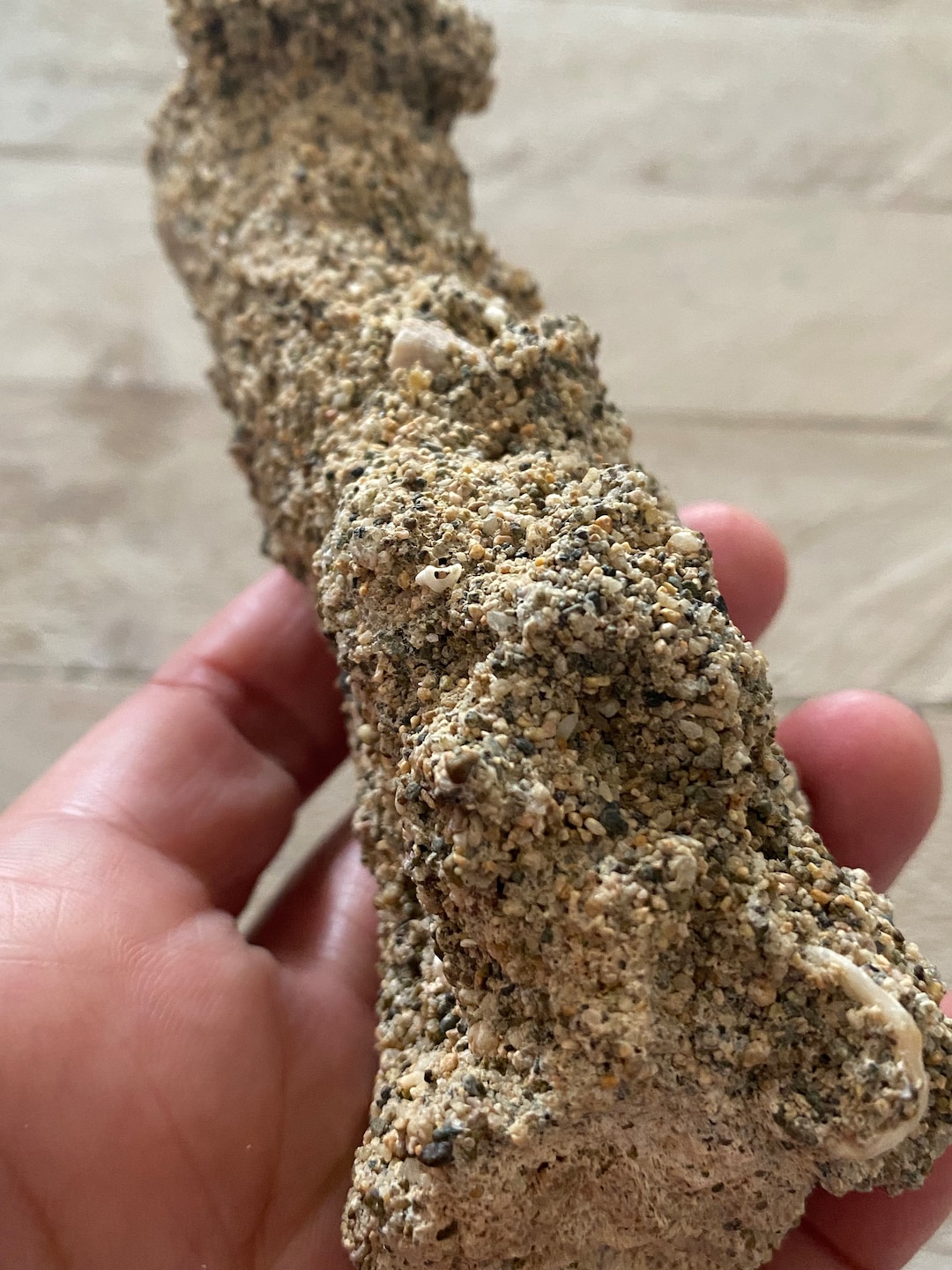 Large Fulgurite Specimen With Shells Large Fulgurite Lightning Stone ...