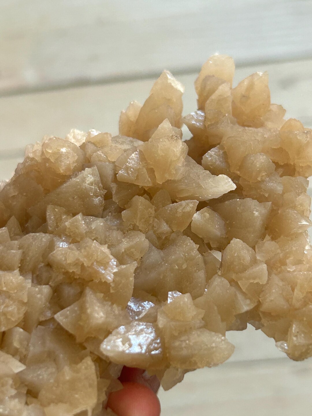 Golden Calcite Cluster Super Fragile Jagged Calcite Honey Calcite Box ...