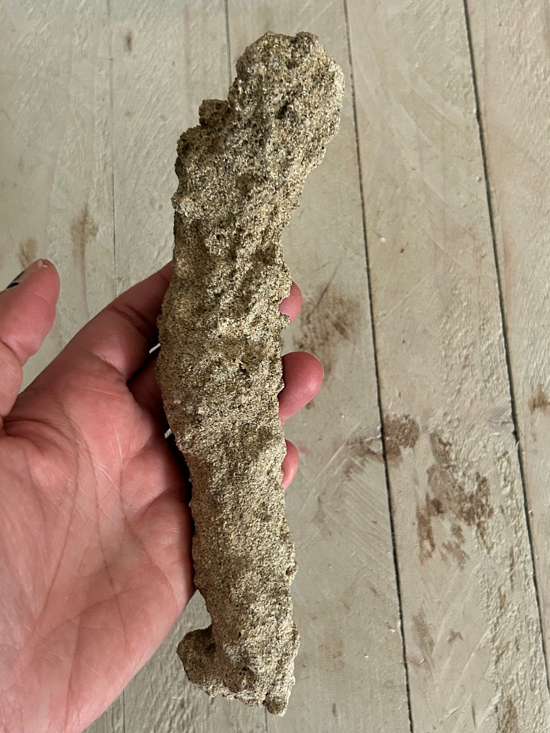 Large Fulgurite Specimen With Shells Large Fulgurite Lightning Stone ...