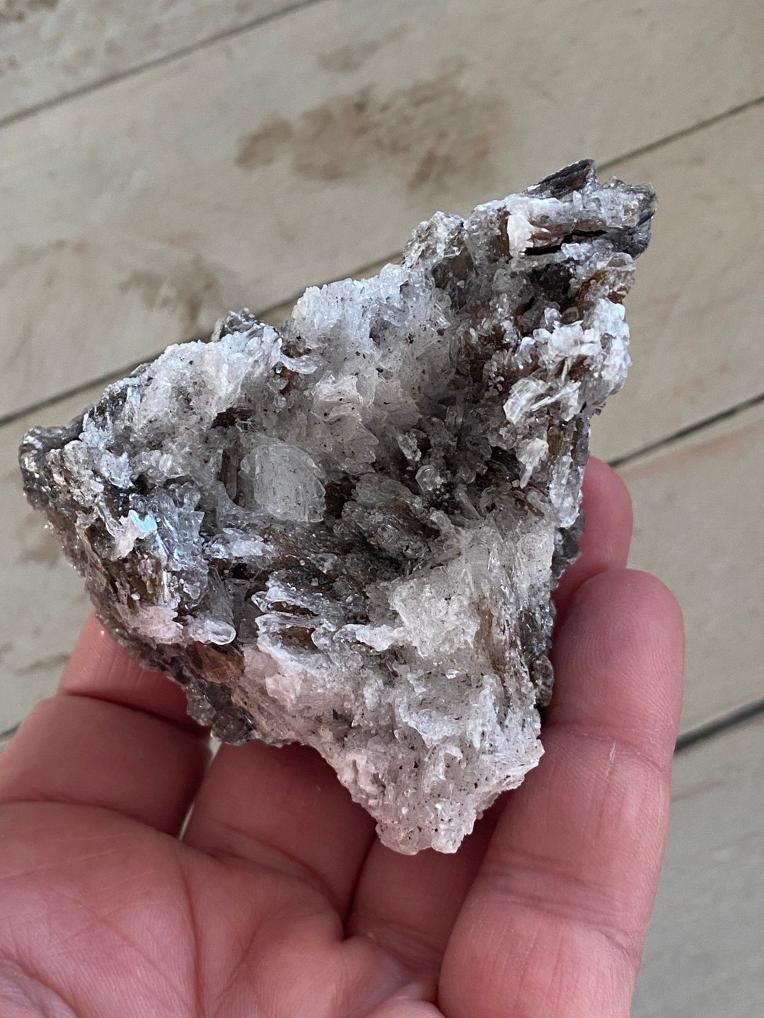 Rare Naica Mine Selenite Micro Cluster of Naica Selenite Baby Selenite ...