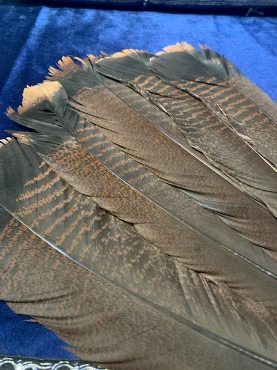 Wild Turkey Tail Feather-one1 16-20 Iridescent Feather for Smudging ...