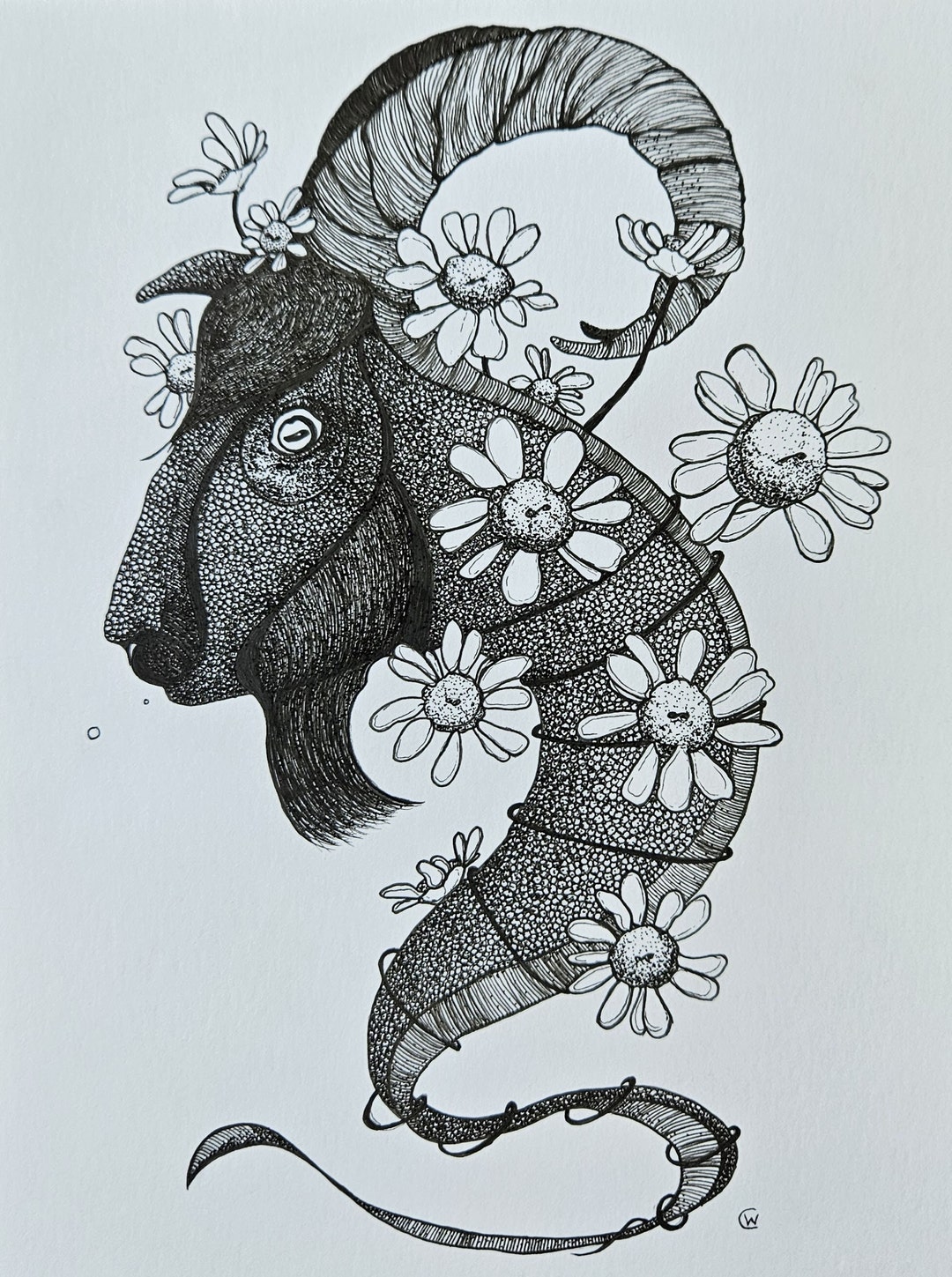 Goat of the Sea With Daisies Original Illustration on Paper, Goat Art ...