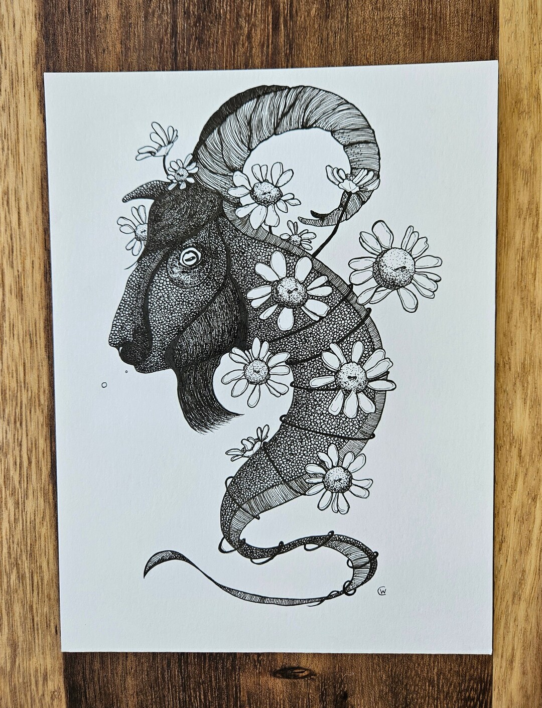 Goat of the Sea With Daisies - Original Illustration on Paper, Goat Art ...