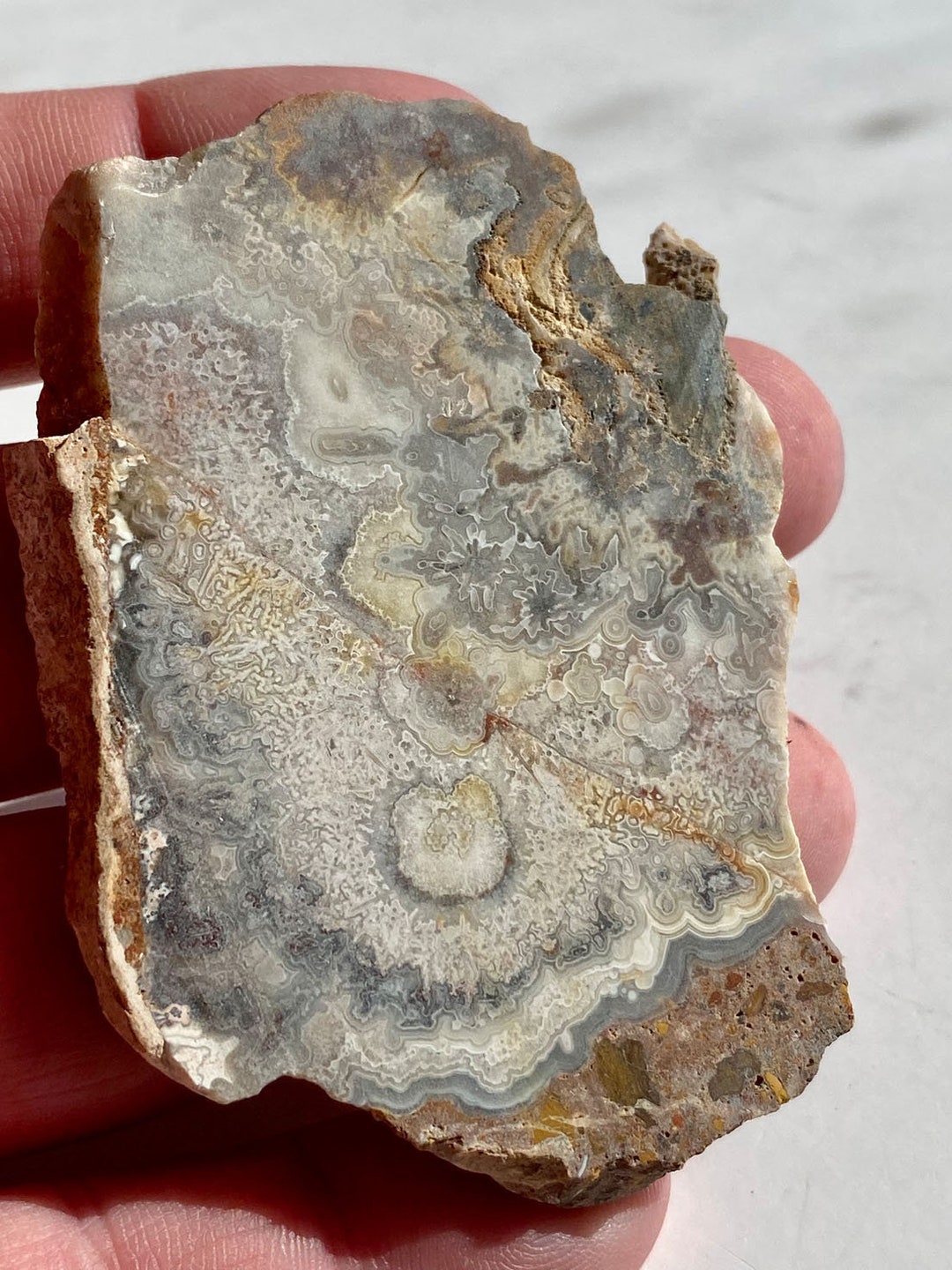 Crazy Lace Agate Slab Awesome Banding! #S24 - 100% Crystal Life+love ...