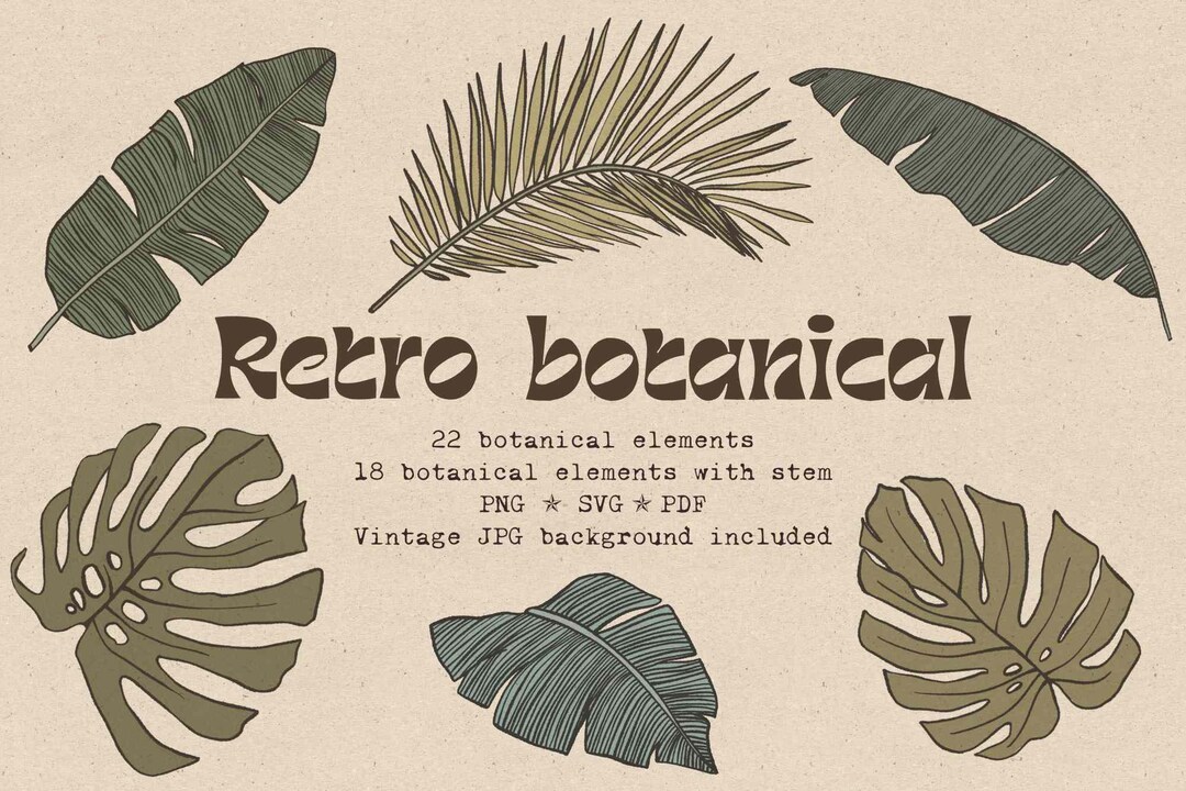 Retro Tropical Leaves Vintage Monstera Leaf Svg Boho Cactus Png Palm ...