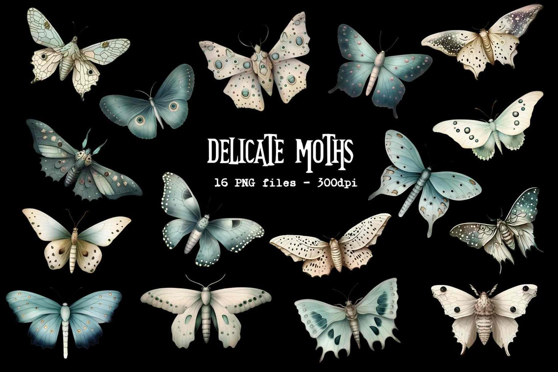 Moth Clipart Moth Png Moth Clip Art Butterfly Clipart - Etsy Canada