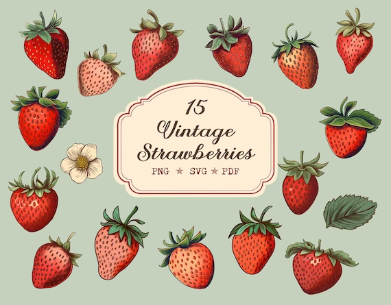 Retro Strawberry Vector