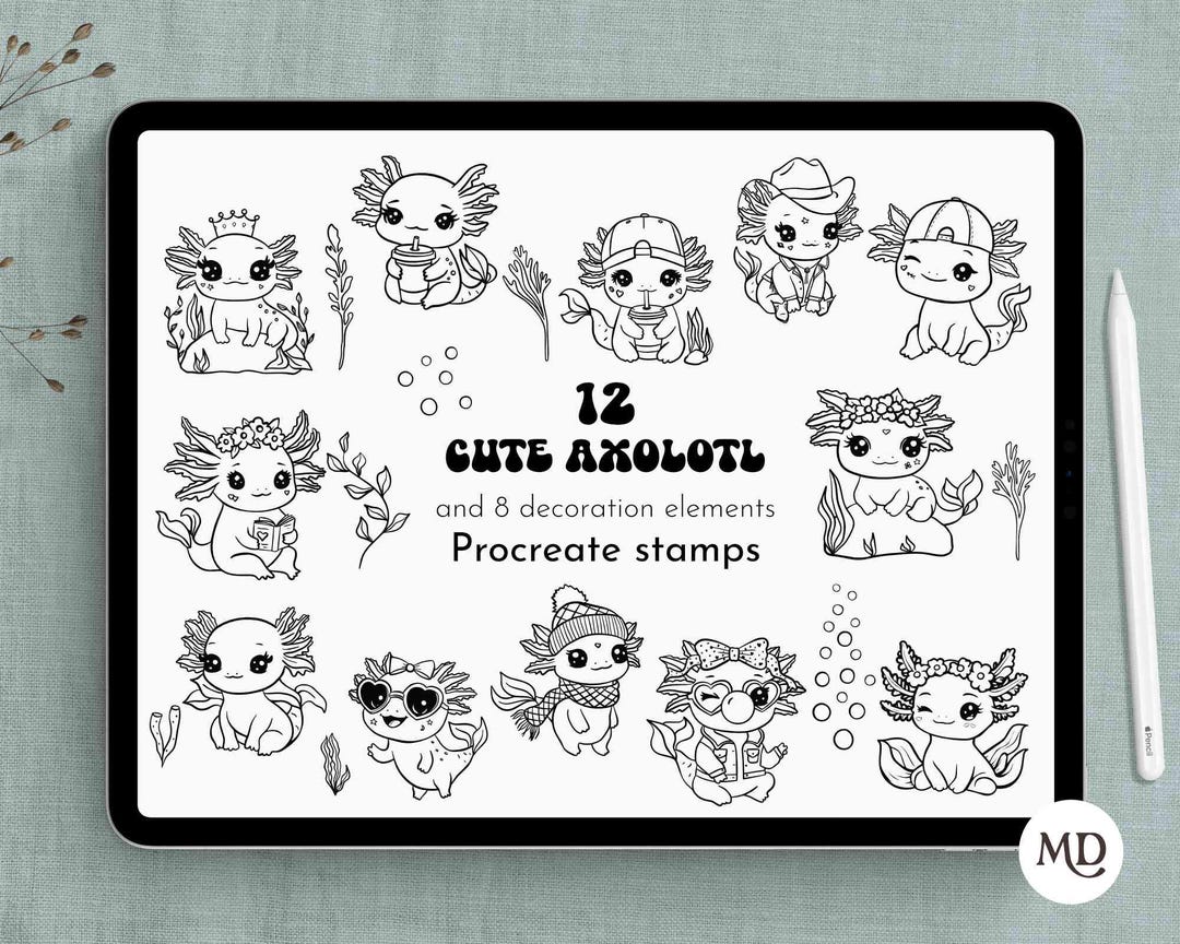 Cute Axolotl Procreate Stamps Chibi Floral Axolotl Brush Kawaii Axolotl ...