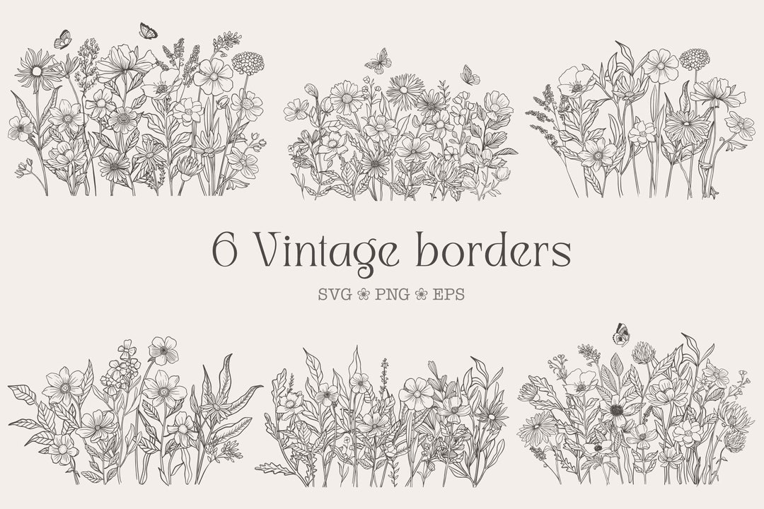 Wild Flowers Svg Bundle Daisy Svg Wildflower Png Floral Border Clipart ...