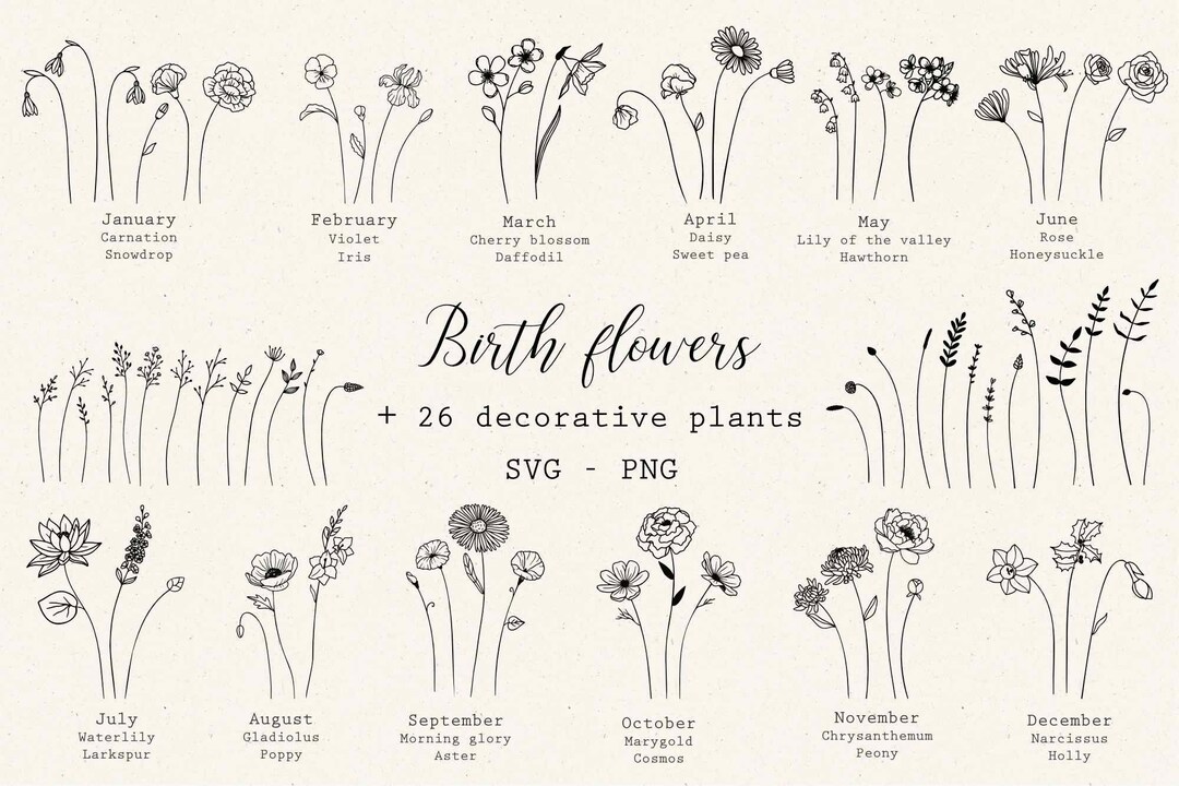 Birth Flower SVG Bundle: Wildflower Clipart, Botanical Vector (PNG) - Etsy