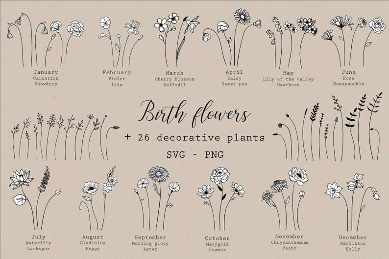 Birth Flower SVG Bundle: Wildflower Clipart, Botanical Vector (PNG) - Etsy