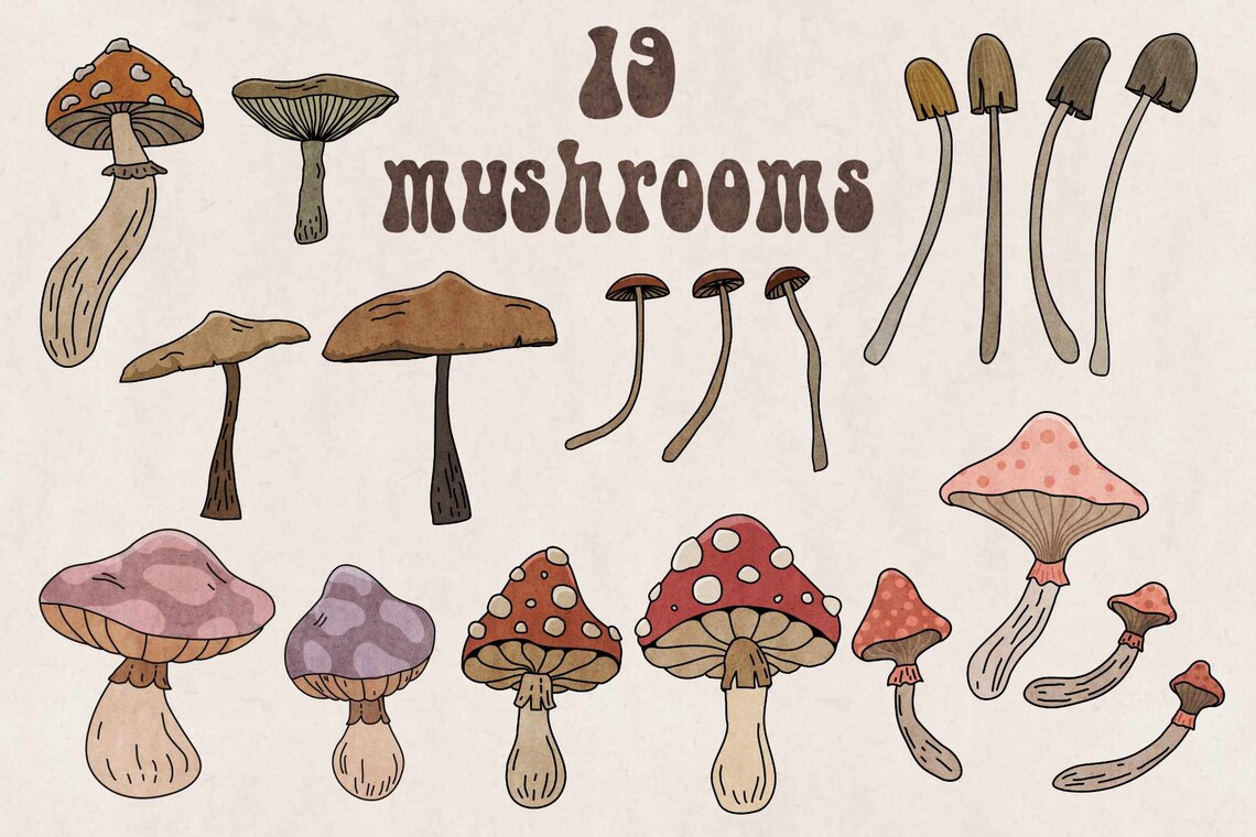 Boho Mushroom Svg Retro Mushrooms Svg Magic Mushroom Clipart 70s Png ...