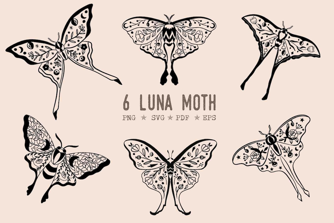 Moth Svg Floral Luna Moth Png Mystical Clipart Celestial Moth Png Boho ...
