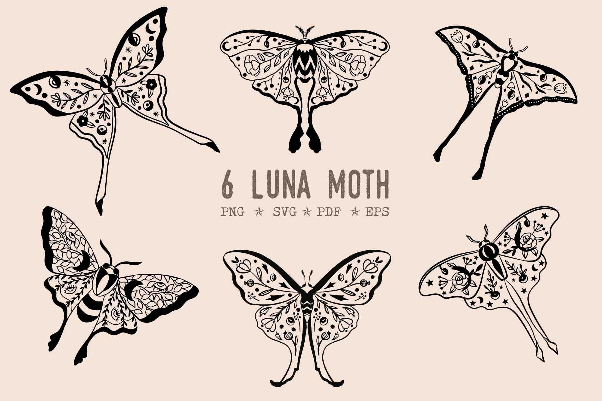 Moth Svg Floral Luna Moth Png Mystical Clipart Celestial Moth Png Boho ...