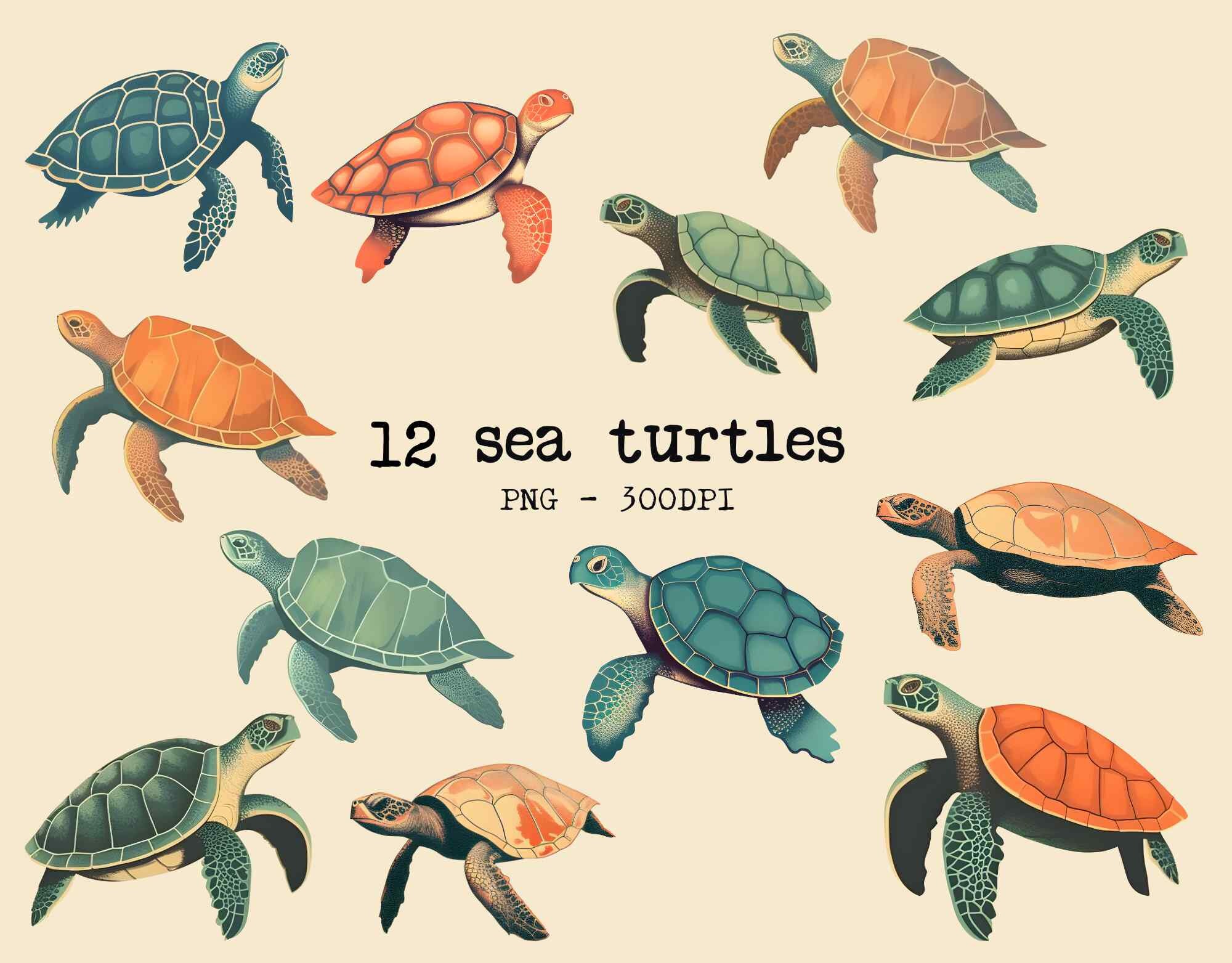 Retro Sea Turtles Png Bundle Sea Turtles Clipart Seaturtle Png Vintage ...