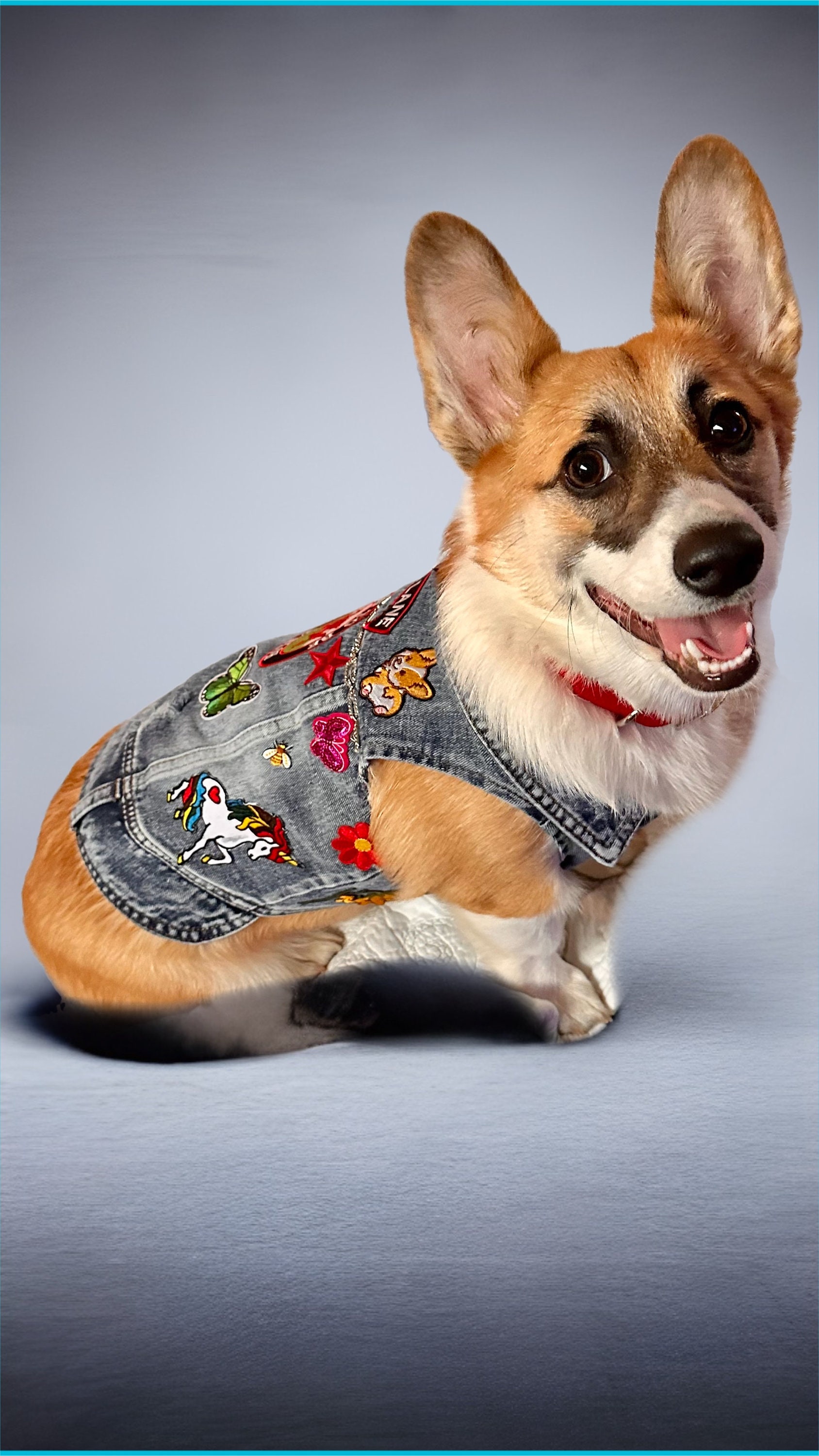 The Pembroke Welsh Corgi, Themed Denim Vest - Etsy