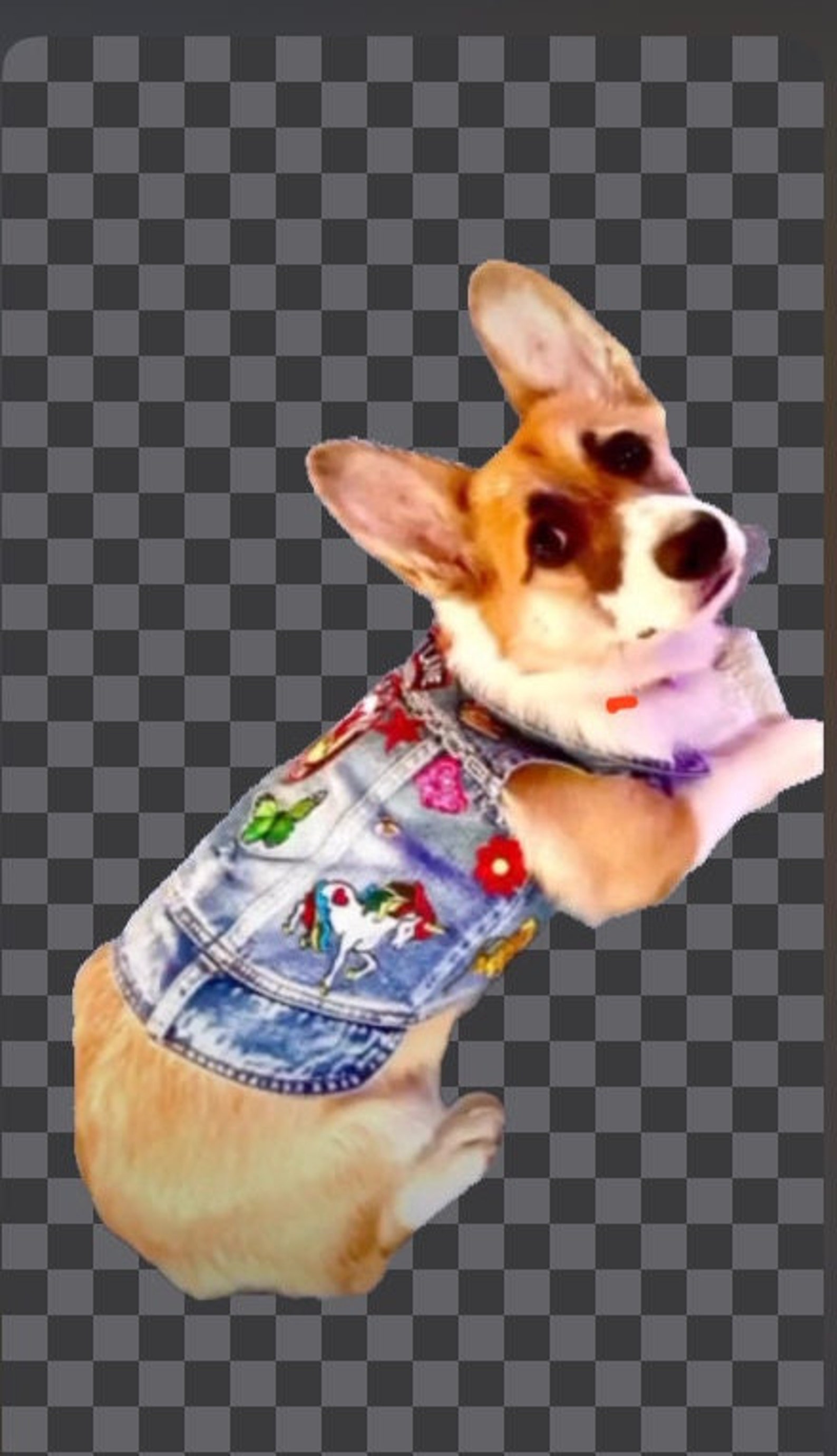 The Pembroke Welsh Corgi, Themed Denim Vest - Etsy