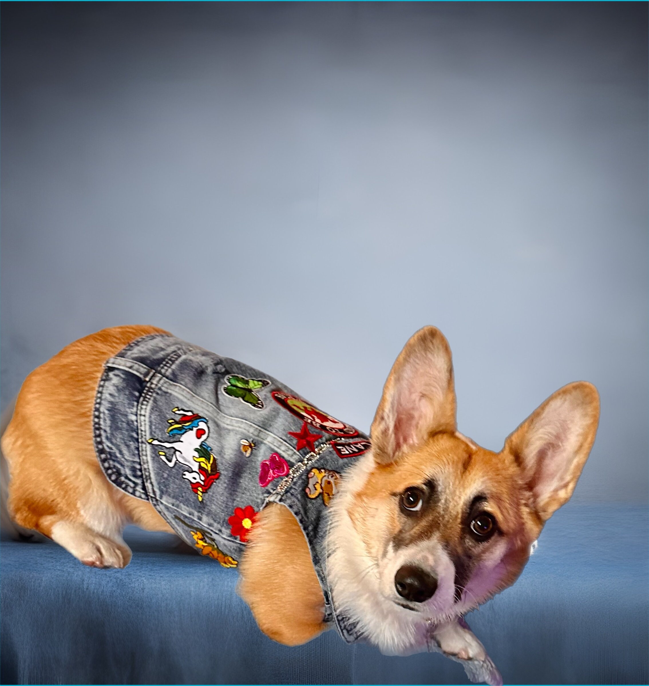 The Pembroke Welsh Corgi, Themed Denim Vest - Etsy