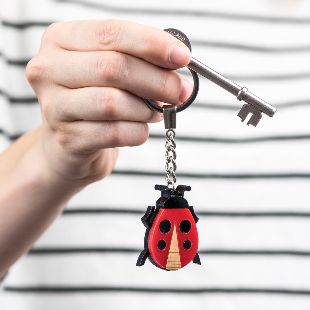 Ladybird Keyring: Red Acrylic & Cherry Wood Key Chain, Retro Bug ...